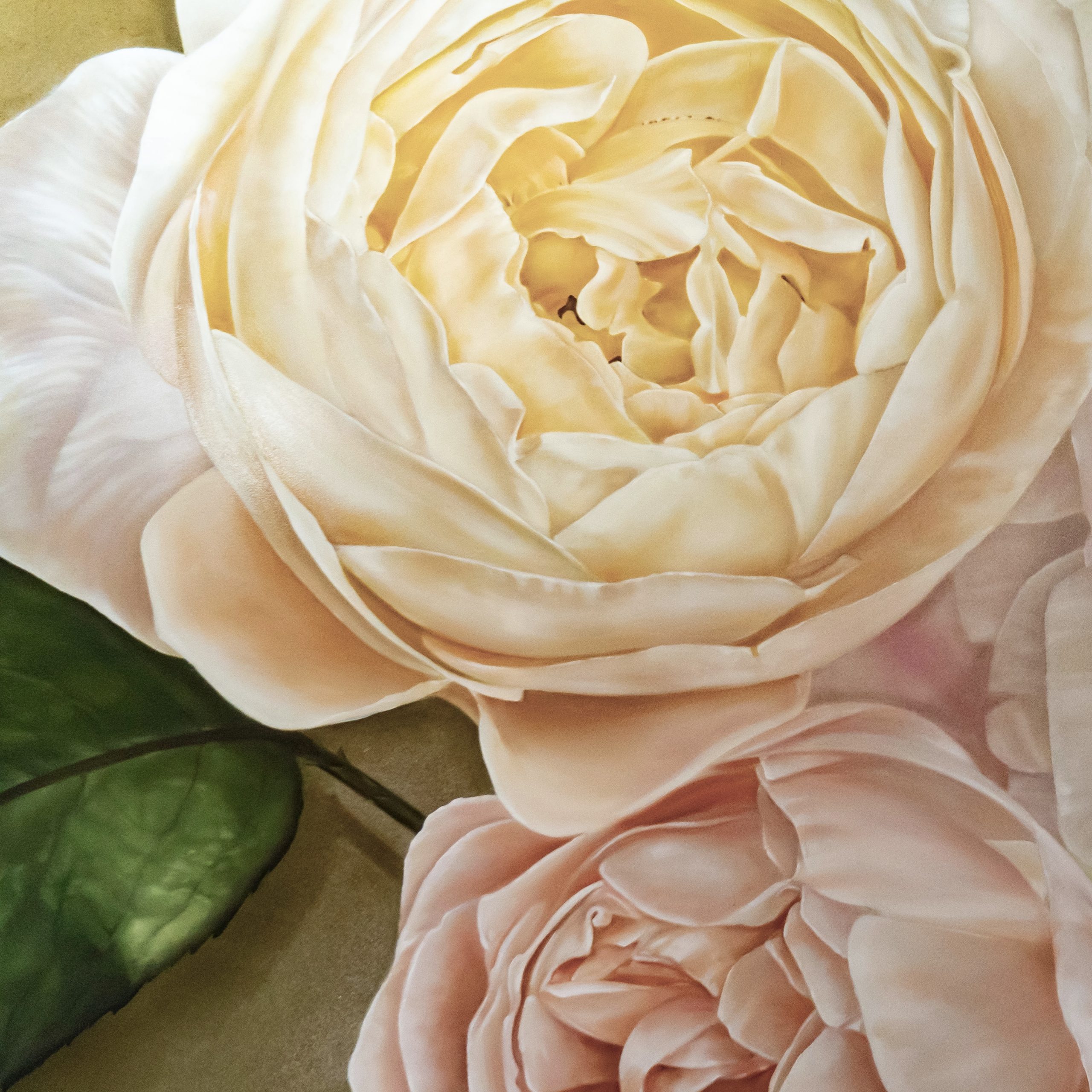 Roses - Montmartre - Cedric Peltier